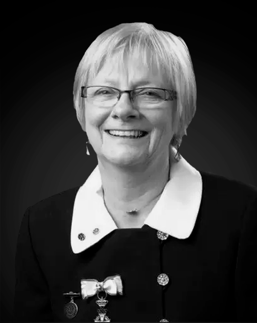 Ortodontia Tratamento Em Adultos - Dental Press Books